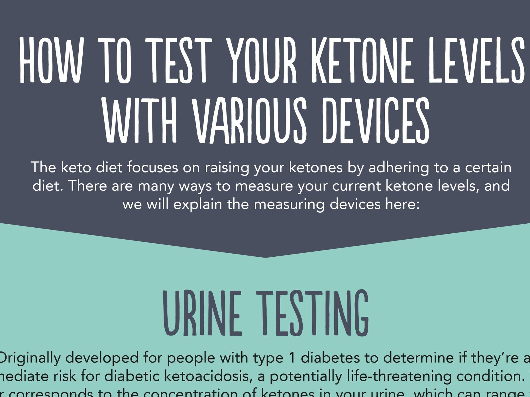 [Infographic] Ketone Testing – Andatech Distribution